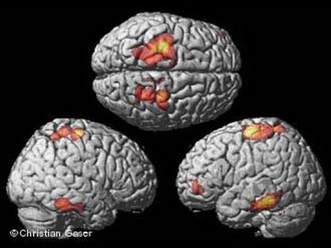 What Happens Inside The Musician’s Brain?