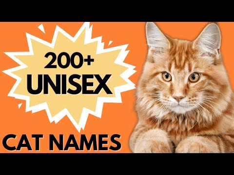 200 Unisex Cat Names PERFECT for your Male or Female cat ππ½ | Unique Boy & Girl Cat Names