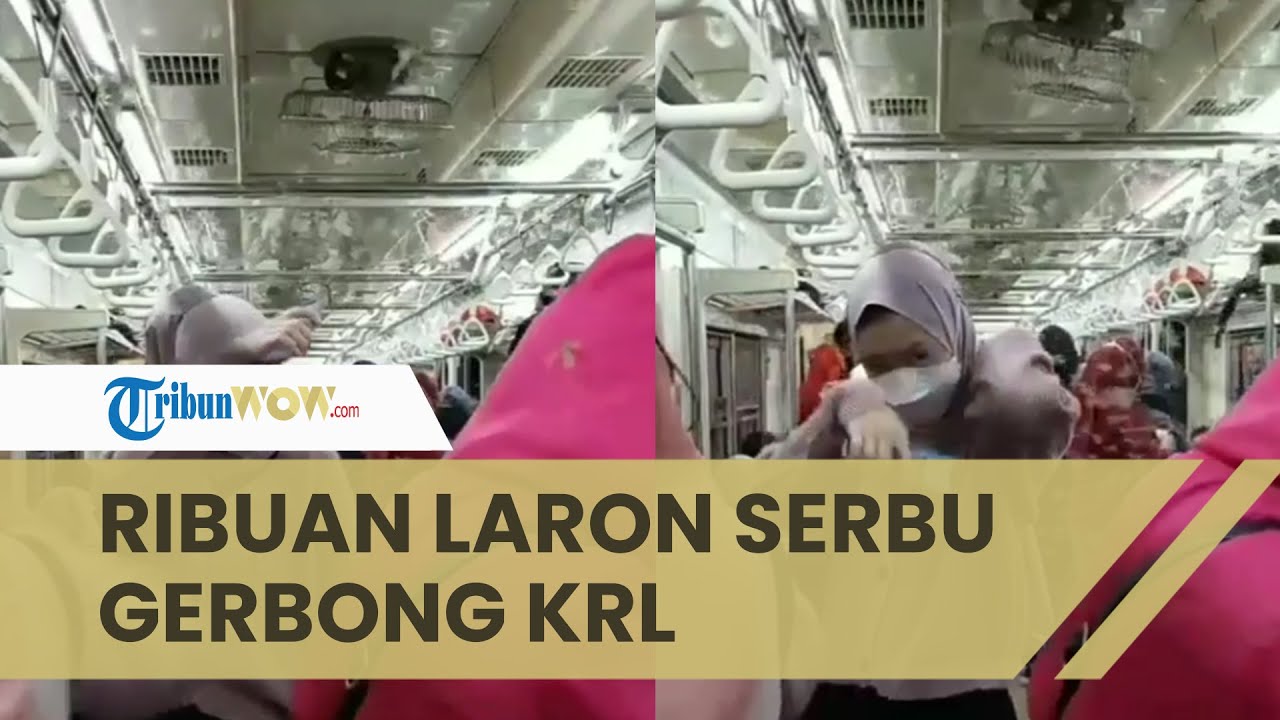 Viral Video Penumpang KRL Diserbu Ribuan Laron di Dalam Gerbong, KAI ... Viral Video Penumpang KRL Diserbu Ribuan Laron di Dalam Gerbong, KAI ...