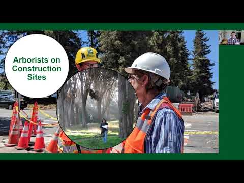 ISA’s Best Management Practices for Construction near Trees