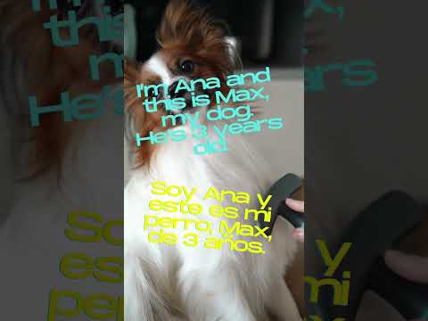 ¡Presenta a tu amada mascota en inglés como un profesional! #shorts #english #pets #tutorial
