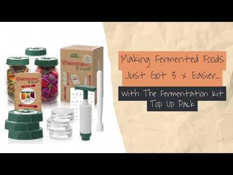 Fermenting Foods Just Got 3 x Easier! | The Culture Hub by The Raw Food Kitchen
