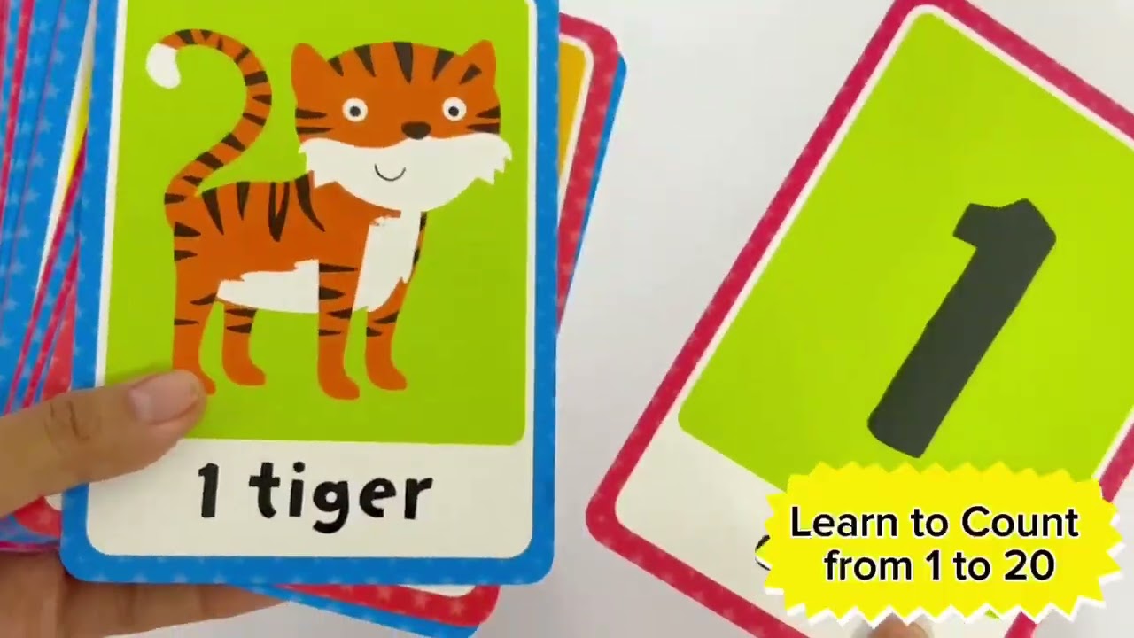 9781837953486 Tiny Tots 123 Flashcards Case
