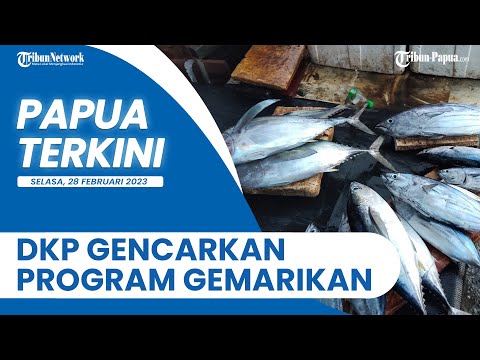 PAPUA TERKINI - Angka Prevalensi Stunting Papua Tertinggi se-Indonesia, DKP Gencarkan Gemarikan