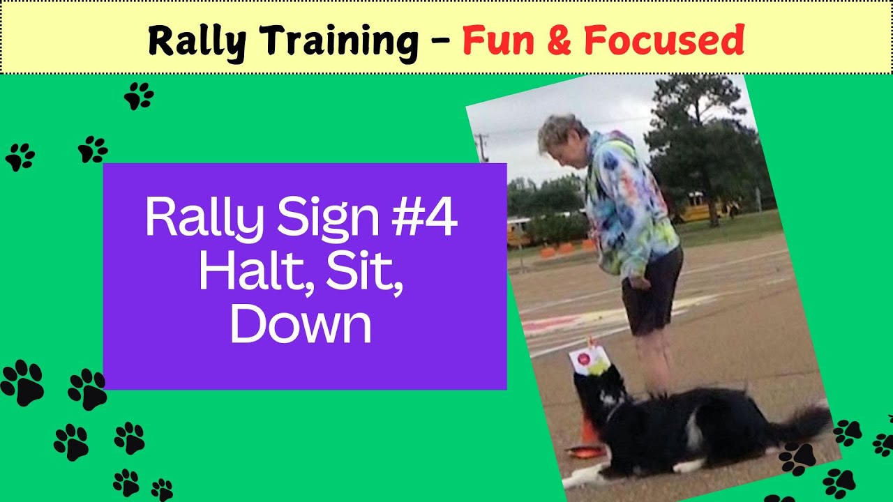 Rally Sign #4 Halt, Sit, Down - Rally Training Fun & Focused ...