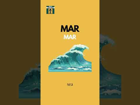 Do you know what "MAR" means? #easyspanish #spanishvocabulary #shorts #viral