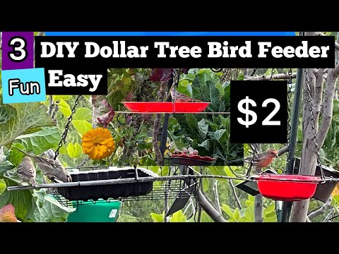DIY How to Make Bird Feeder for $2 EASY 3 Hanging Styles Birds LOVE, Dollar Tree Store Garden Decor