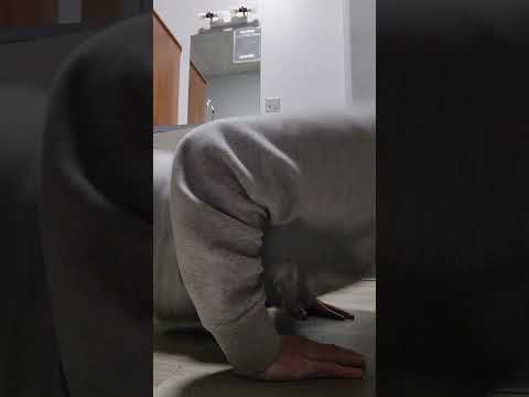 (Day 293): 28 Push Ups. Half and Half