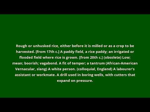 what is the meaning of paddy