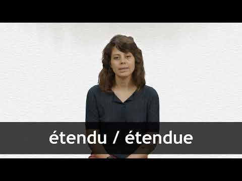 English Translation of “ÉTENDUE” | Collins French-English Dictionary