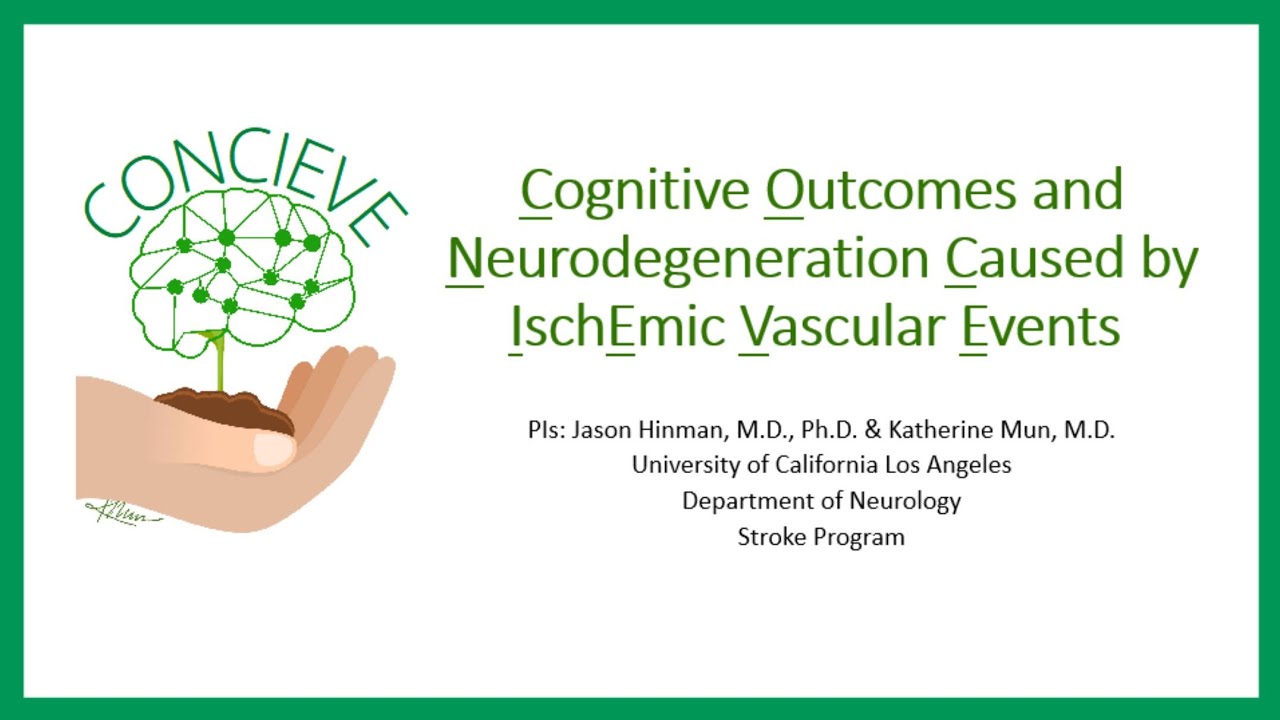 Subcortical Ischemic Stroke Clinical Study at UCLA Neurology