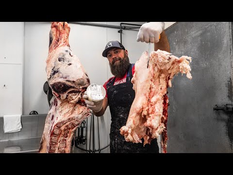 How to make Beef Tallow | The Bearded Butchers