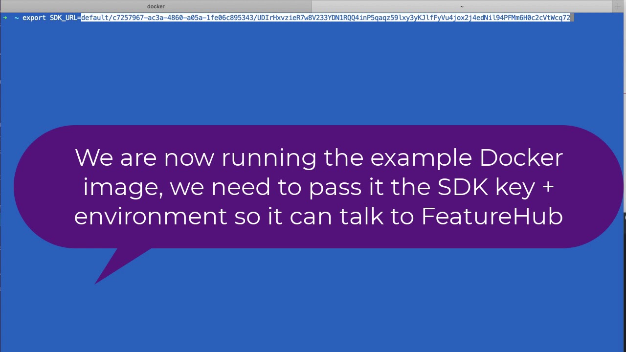 FeatureHub Starting Small with example demo