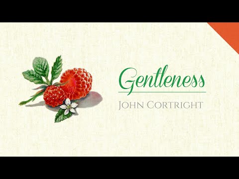 Fruit of the Spirit - Gentleness
