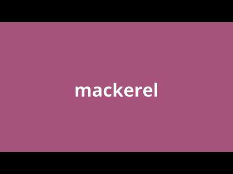 what is the meaning of mackerel.