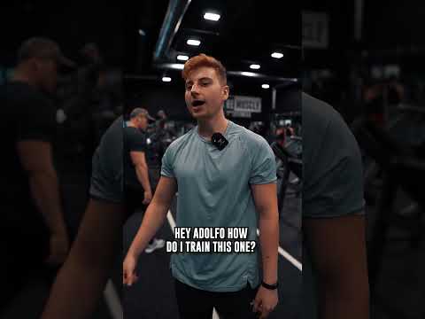 How to build muscle at home with dumbbells