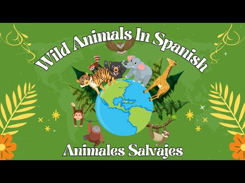 Learn Wild Animals in Spanish for Kids! | Easy Spanish for Kids!