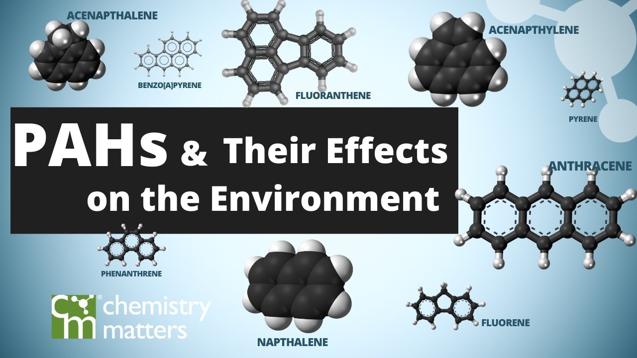 What are PAHs? | The Effects on the Environment from PAHs