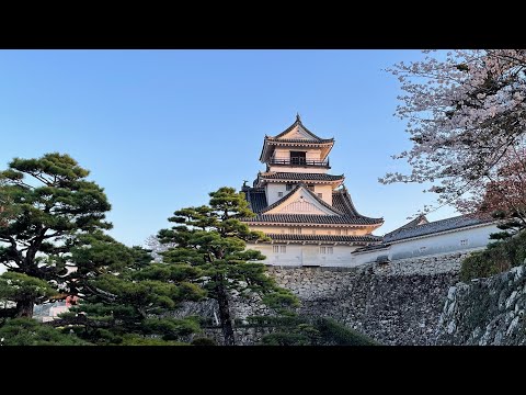 My first time in Kochi!(Japan) Kochi has interesting histories!