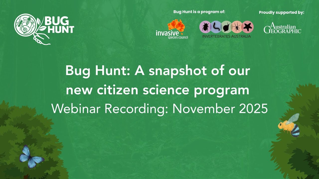 Bug Hunt Webinar