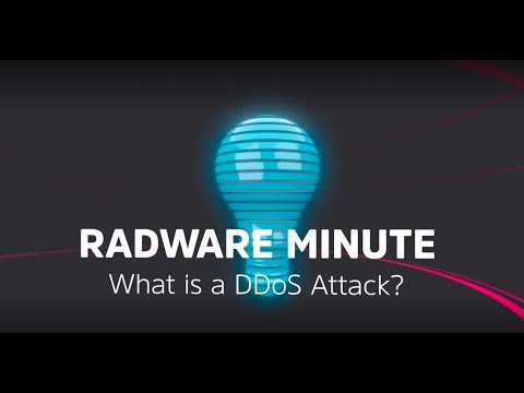 What is a DDoS attack?