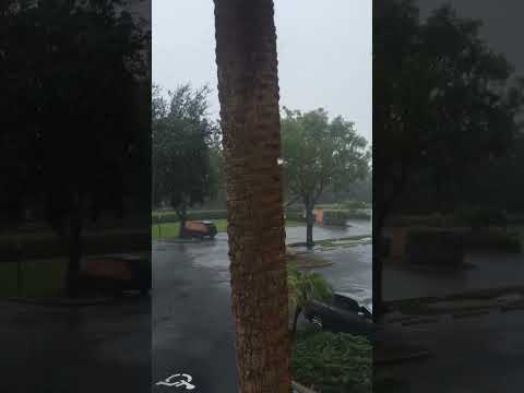 Finally a good rain in Naples FL #naplesfl