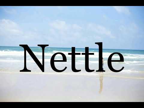 How To Pronounce Nettle๐๐๐๐๐๐Pronunciation Of Nettle