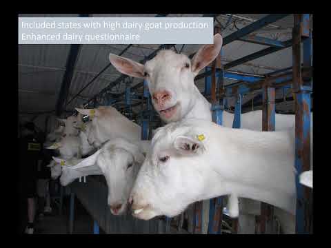 02 NAHMS Goat 2019 Study Overview