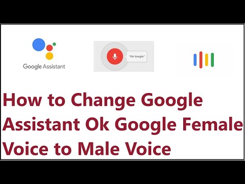 How to Change Google Assistant Ok Google Female Voice to Male Voice