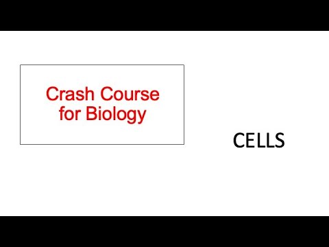 [Crash Course] O and N level Biology (02 Cells)
