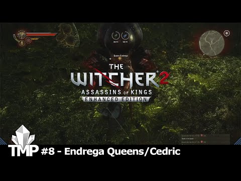 Steam Community :: Video :: The Witcher 2 Let's Play #8 - Endrega ...