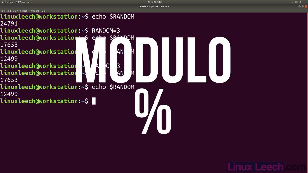 Random Number Variable in BASH - Linux Commands