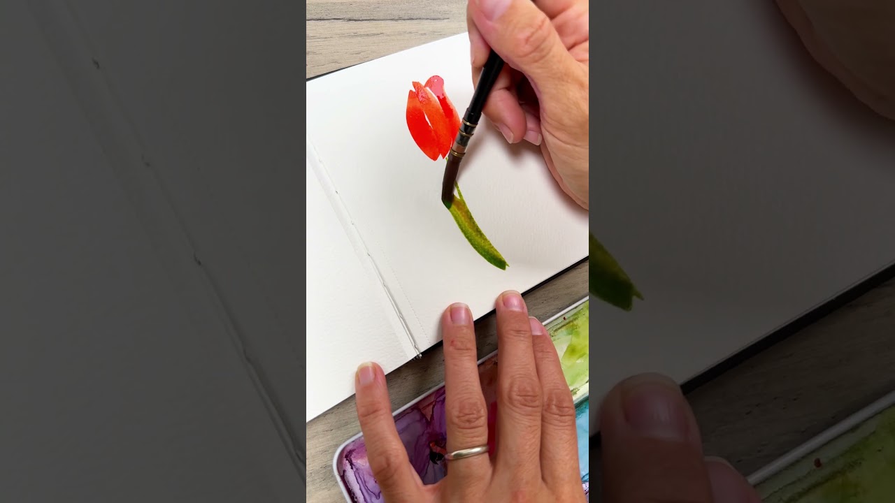 How to paint easy watercolor tulips for beginners