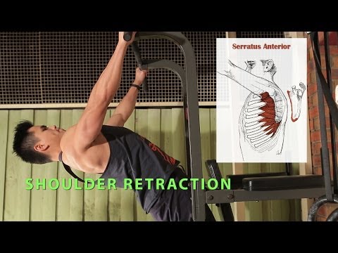 Shoulder Protraction & Retraction Exercise: Intermediate Shoulder Rehab strength contidioning