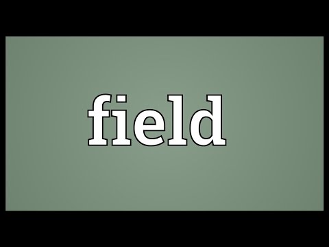 Field Meaning