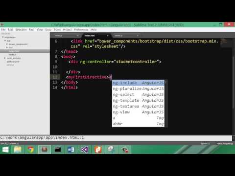Video : Create basic AngularJS custom directive in 5 minutes ...
