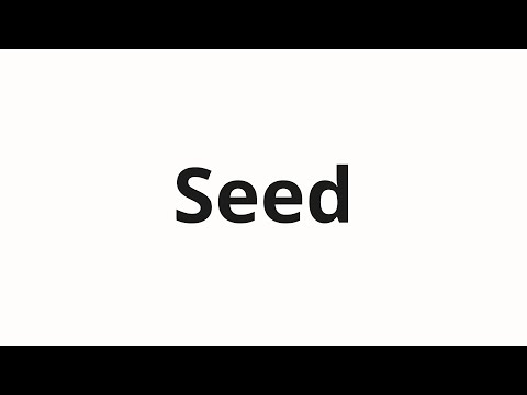 How to pronounce Seed