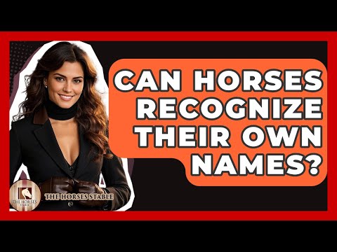 Can Horses Recognize Their Own Names? - The Horses Stable
