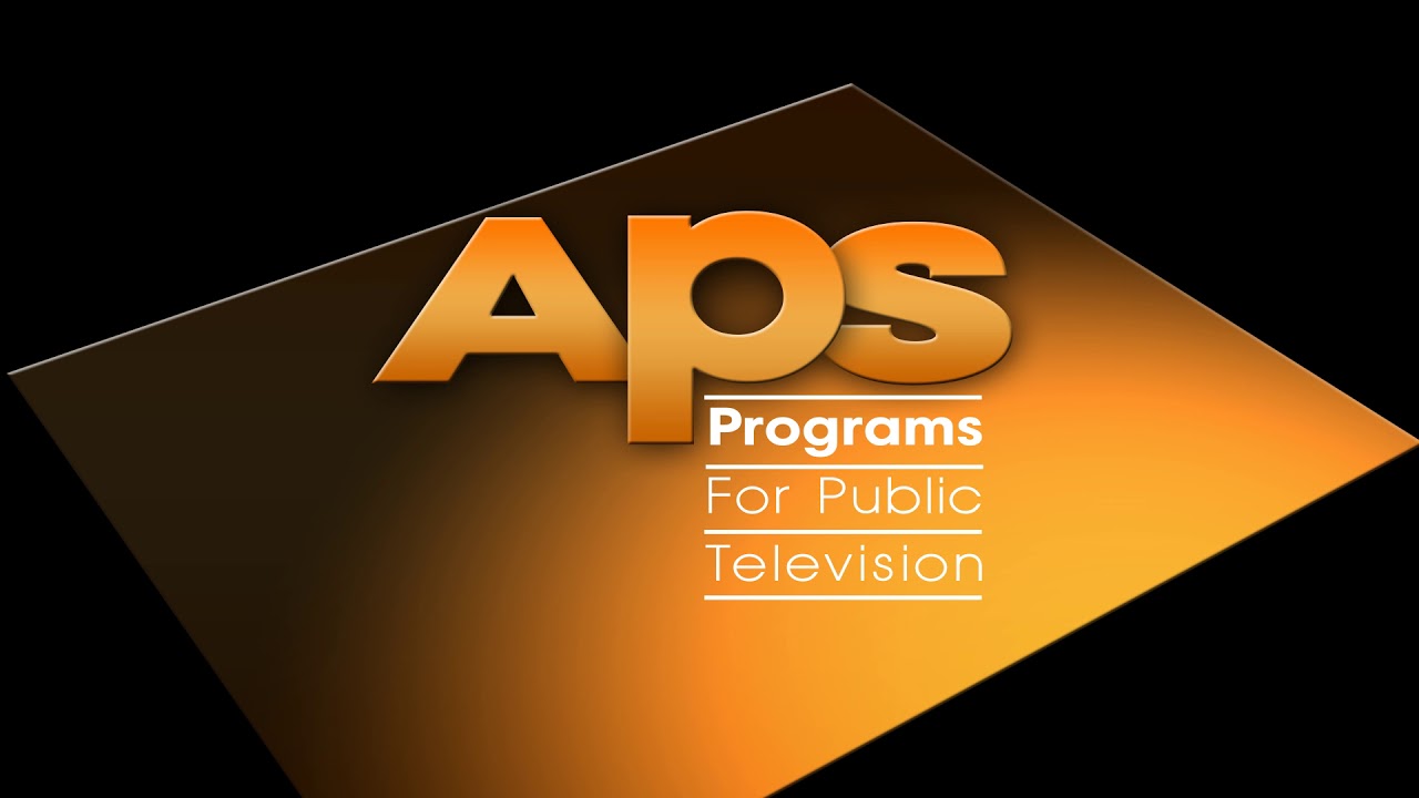 American Program Service 1994-99 ID Remake
