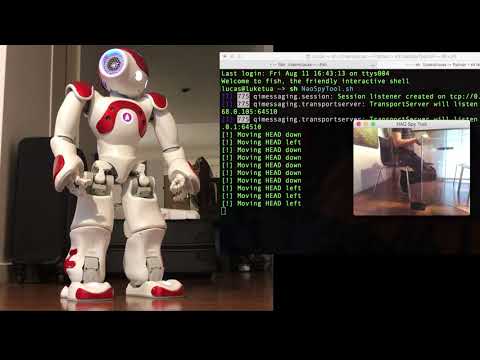 Household Robots Are the Next Thing to Get Hacked