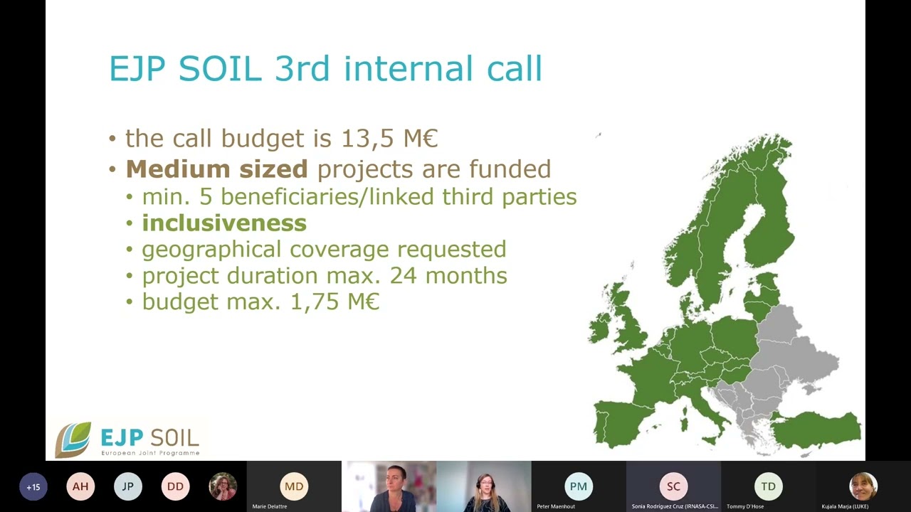 Third Internal Call