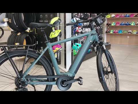 Winora Sinus 9 - Električni Bicikl - Bosch Performance