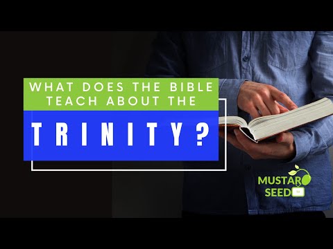 What Does The Bible Say About Trinity?