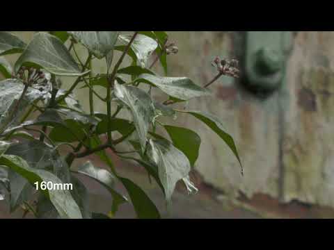 Sony FS7 with a B4 Lens J17 lens test