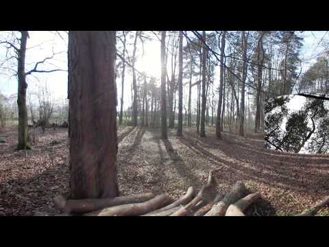 Introducing Quarrymill, a Scottish Woodland in Scone Perthshire – THE ...