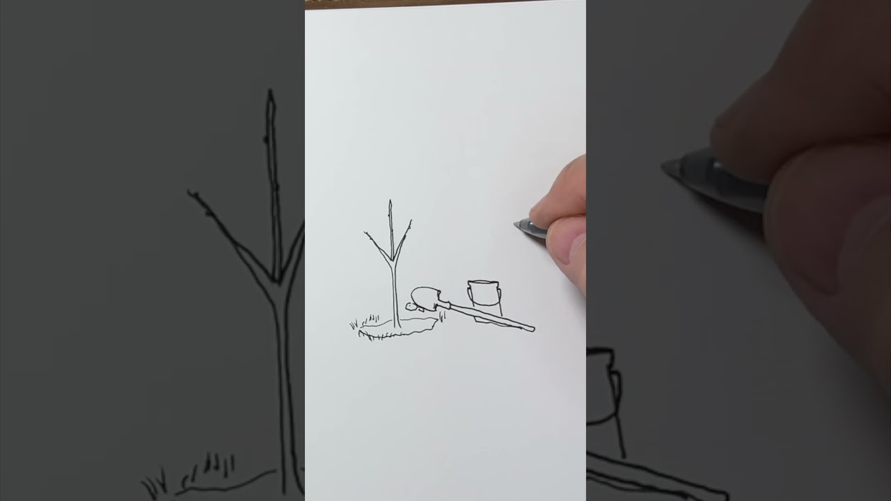 Planting Trees #drawing #art #draw #animals #bear #tree #fruit #plants #sketch #cartoon #garden #joy