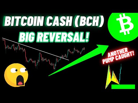 Big Reversal Of Bitcoin Cash | Is Another Massive Rally of BCH Coming? 🚀