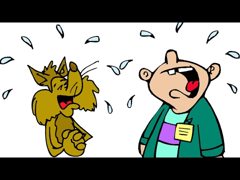 American Sign Language ASL Video Dictionary - sob