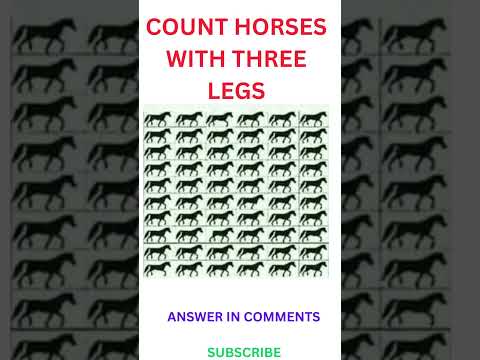 Counting the Unusual: How Many Horses Have Three Legs? #automobile #find #shorts #youtubeshorts