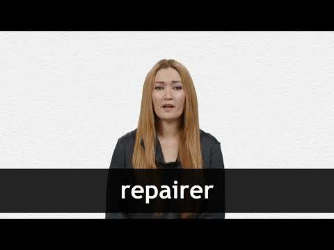 REPAIRER definition and meaning | Collins English Dictionary